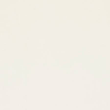 Ivory Cuddle Solid – Beckie's Sewing Center